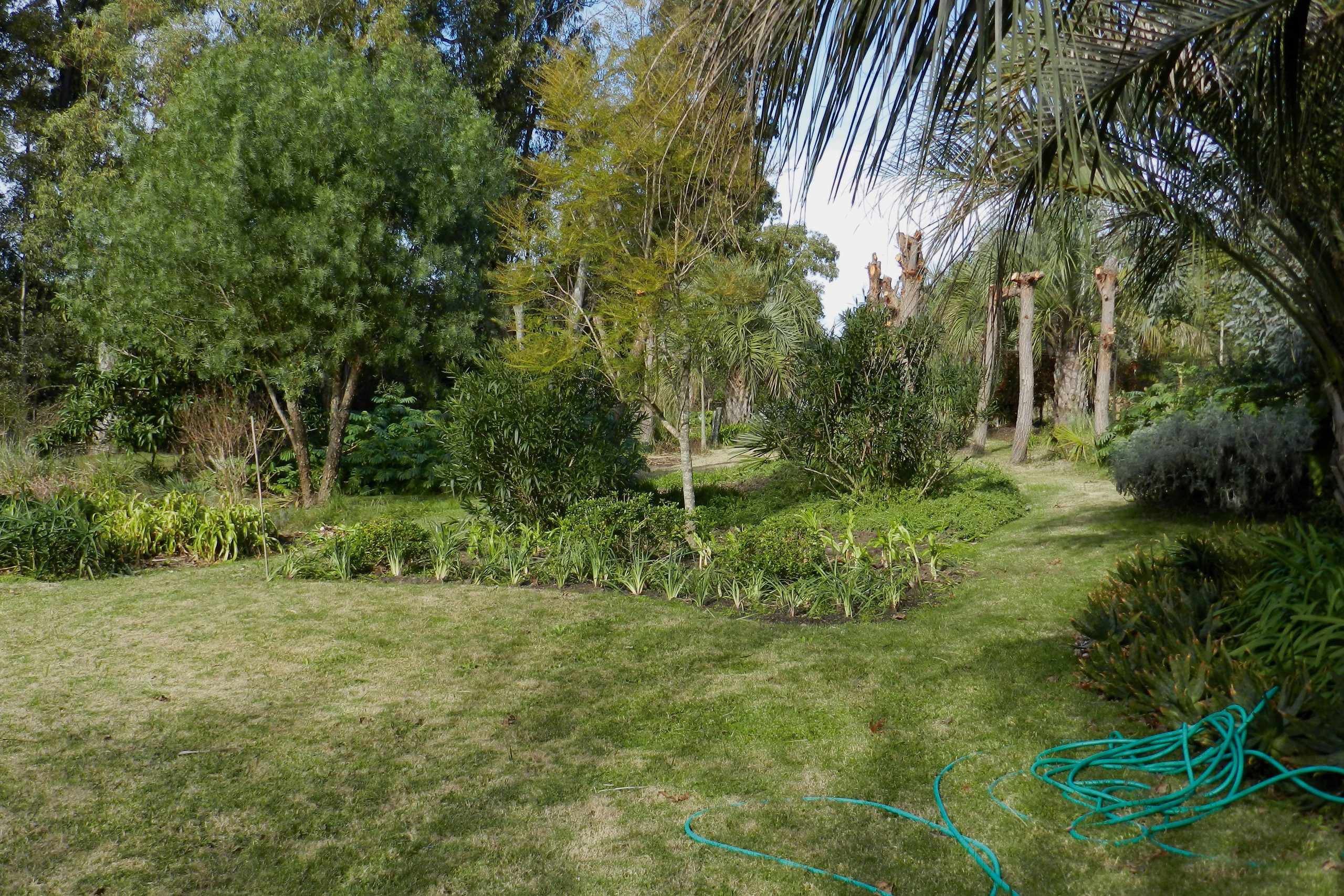 Tareas de agosto - Entrejardines